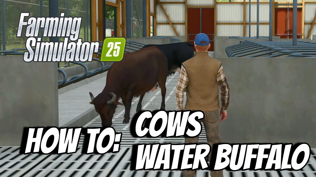 How To: Cows And Water Buffalo - Farming Simulator 25 FS25 XBOX - YouTube
