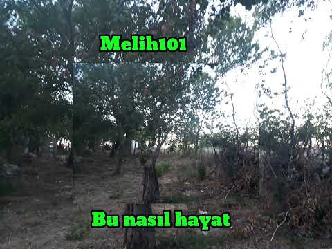 Melih101- Bu nasıl hayat (Offical video)