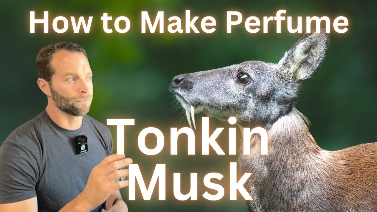 How To Make a Deer Musk Accord - YouTube