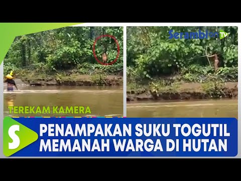 Terekam Kamera, Penampakan Suku Togutil Memanah Warga di Hutan