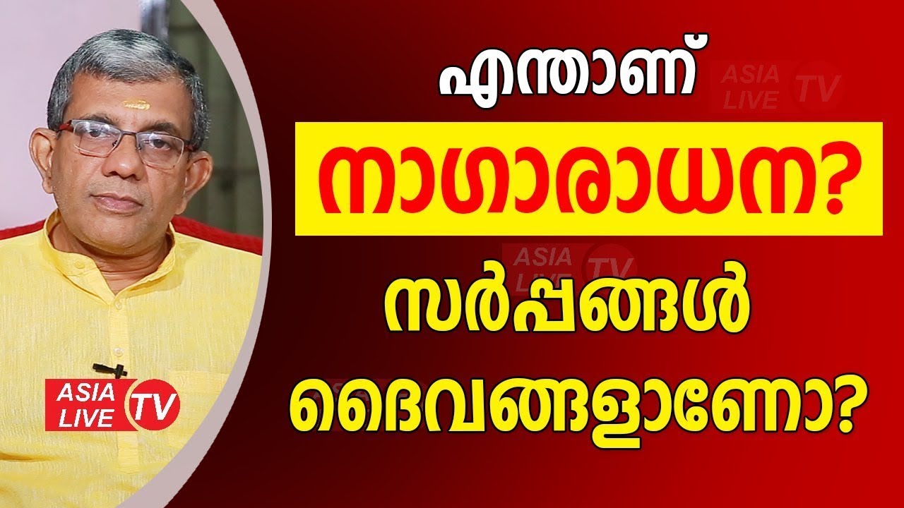എന്താണ് നാഗാരാധന? സർപ്പങ്ങൾ ദൈവങ്ങളാണോ? | Nagaradhana | Asia Live TV ...