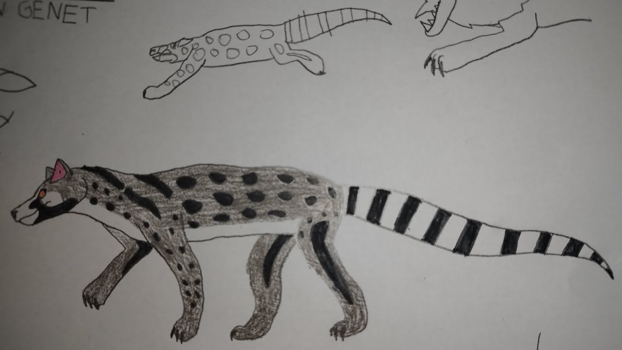 Sound Effects-Common Genet - YouTube