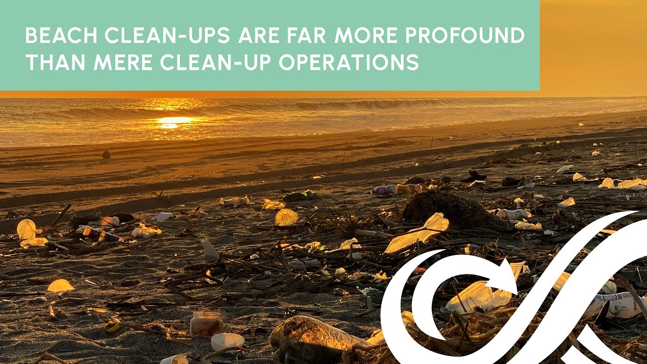 Turning the Tide: How Beach Clean-Ups inspire Sustainable Choices - YouTube