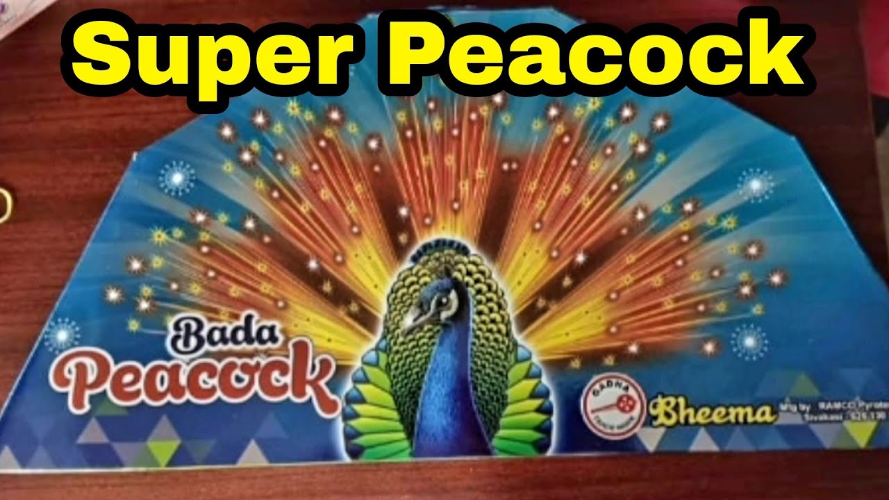 Bada Size Super Peacock Feather| Super Peacock price only 500 Rs only| Lowest price fancy ...