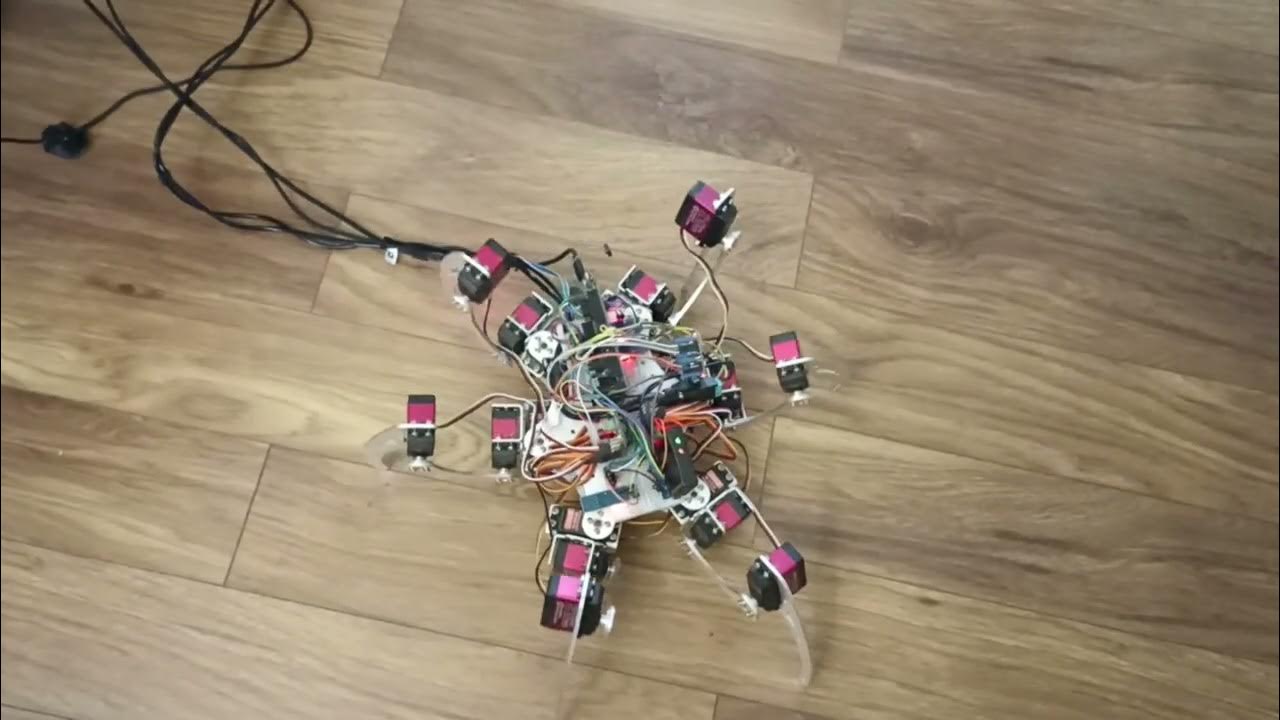 Ada on Board: Hexapod robot, crab move and turns - YouTube