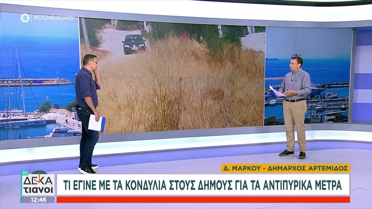 Τι γίνεται με τα ξερά χόρτα στους δήμους και τα κονδύλια για τα ...