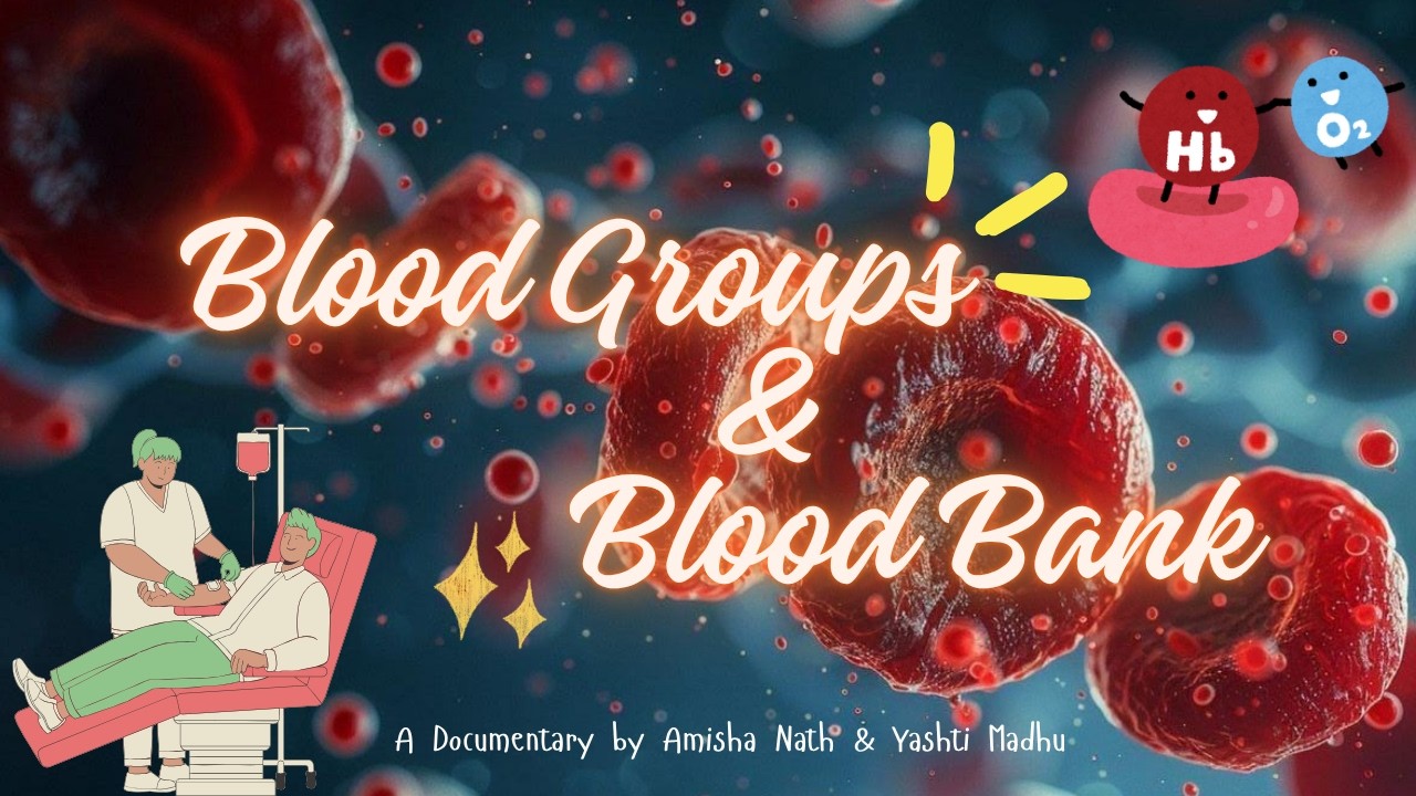 Blood Groups and Blood Banks | Everything you need to know | A ...