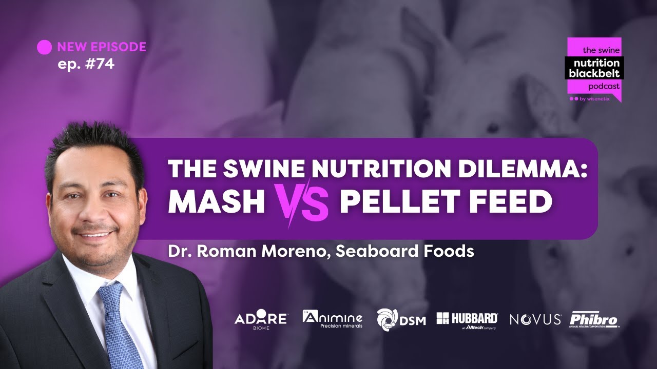 Dr. Roman Moreno: Mash vs Pellet Feed | Ep. 74 - YouTube
