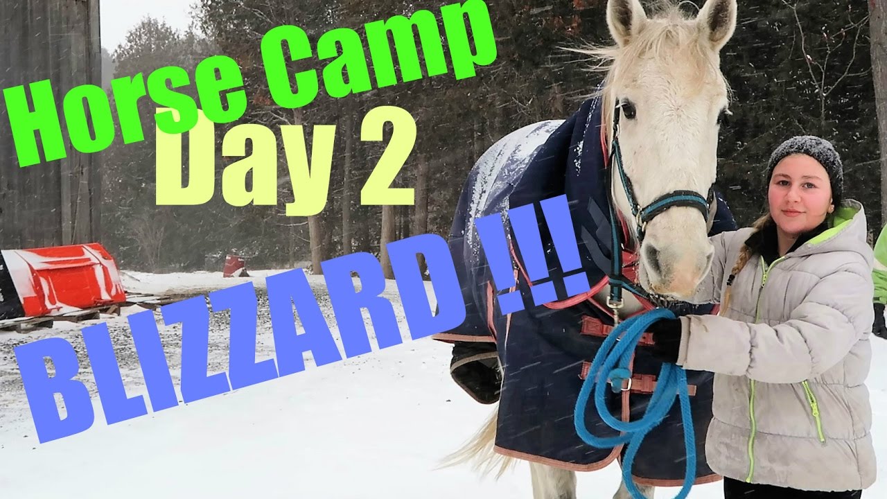 WINTER AT HORSE CAMP!!! Day 073 (03/14/17) - YouTube