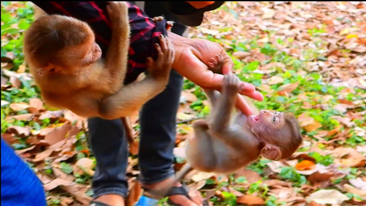 Look adorable baby Rainbow reaction to cameraman best way she make ...