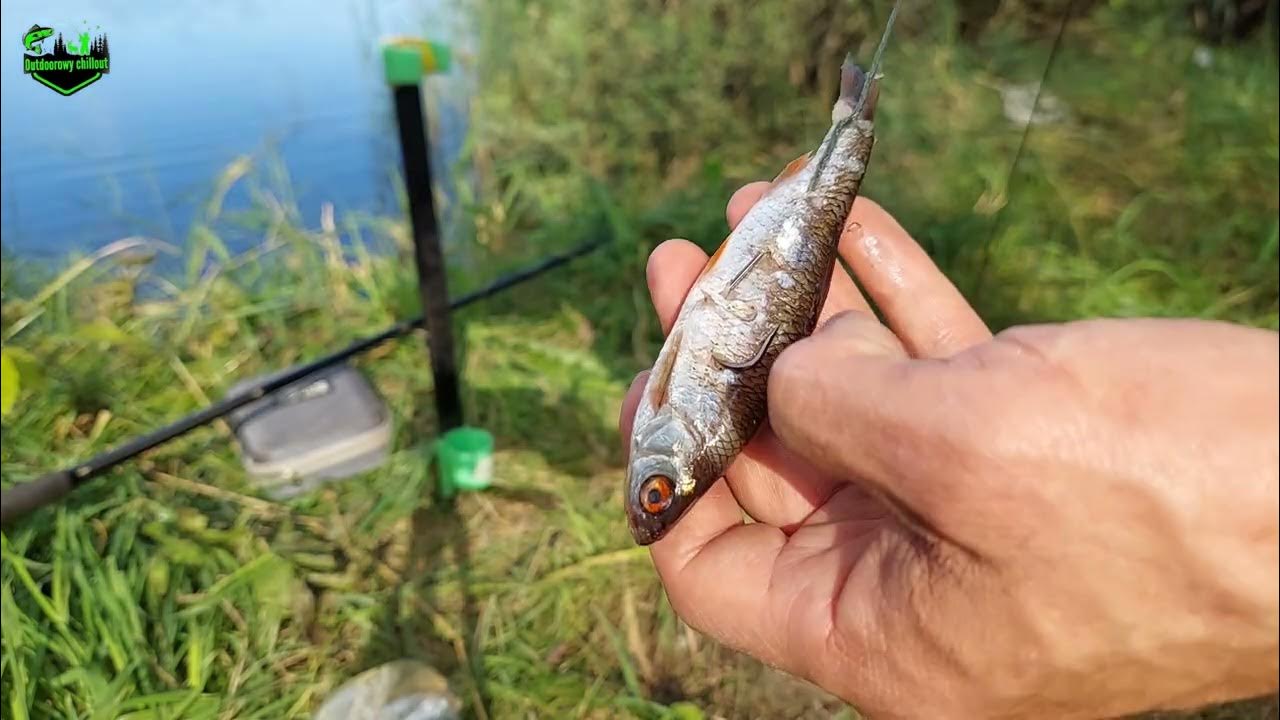 Jak montować trupki na (SANDACZ_A - SUM_A) POKAZUJĘ MOJE ZESTAWY SUMOWE - YouTube