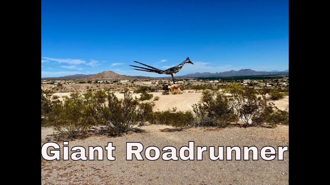 Recycled Roadrunner, the Chamizel National Monument, and an "Oasis ...