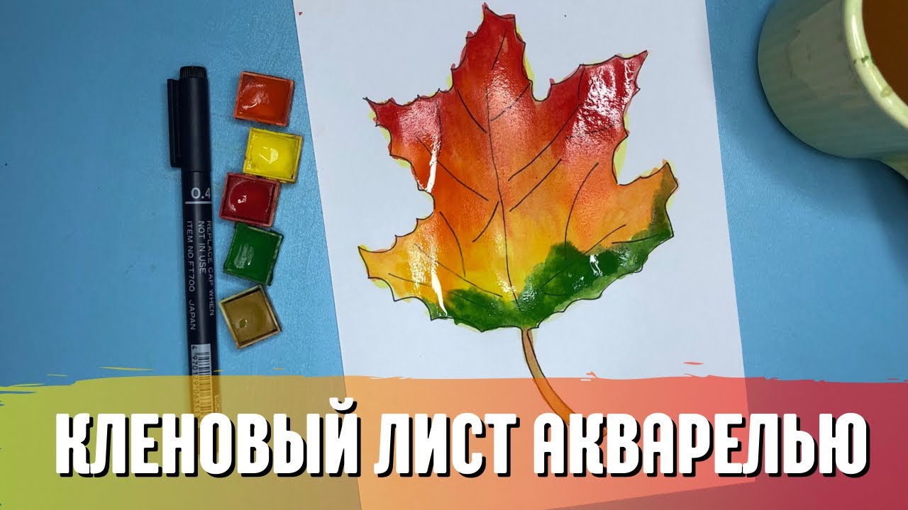 Как нарисовать кленовый лист Лист клена Кленовый лист акварелью
