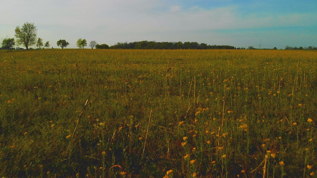 Free 4K Aerial Footage - Open Fields - YouTube
