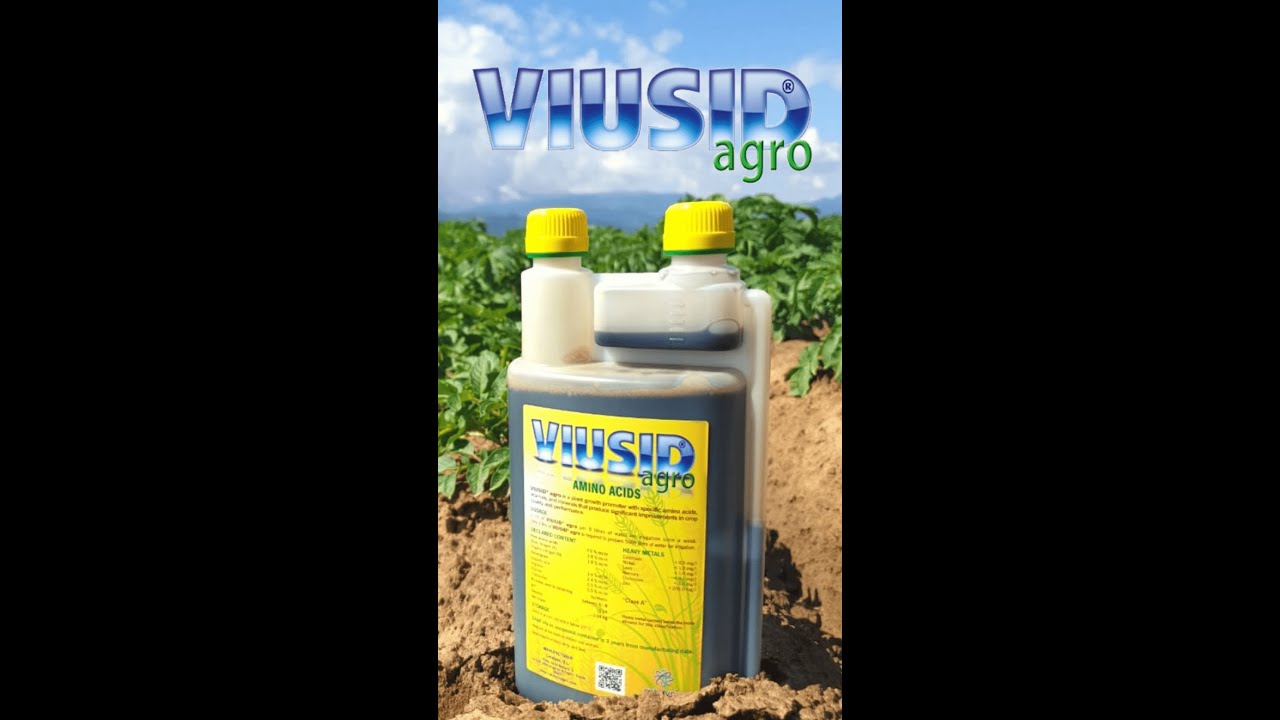 Αποτελέσματα χρήσης VIUSID agro σε κηπευτικά - YouTube