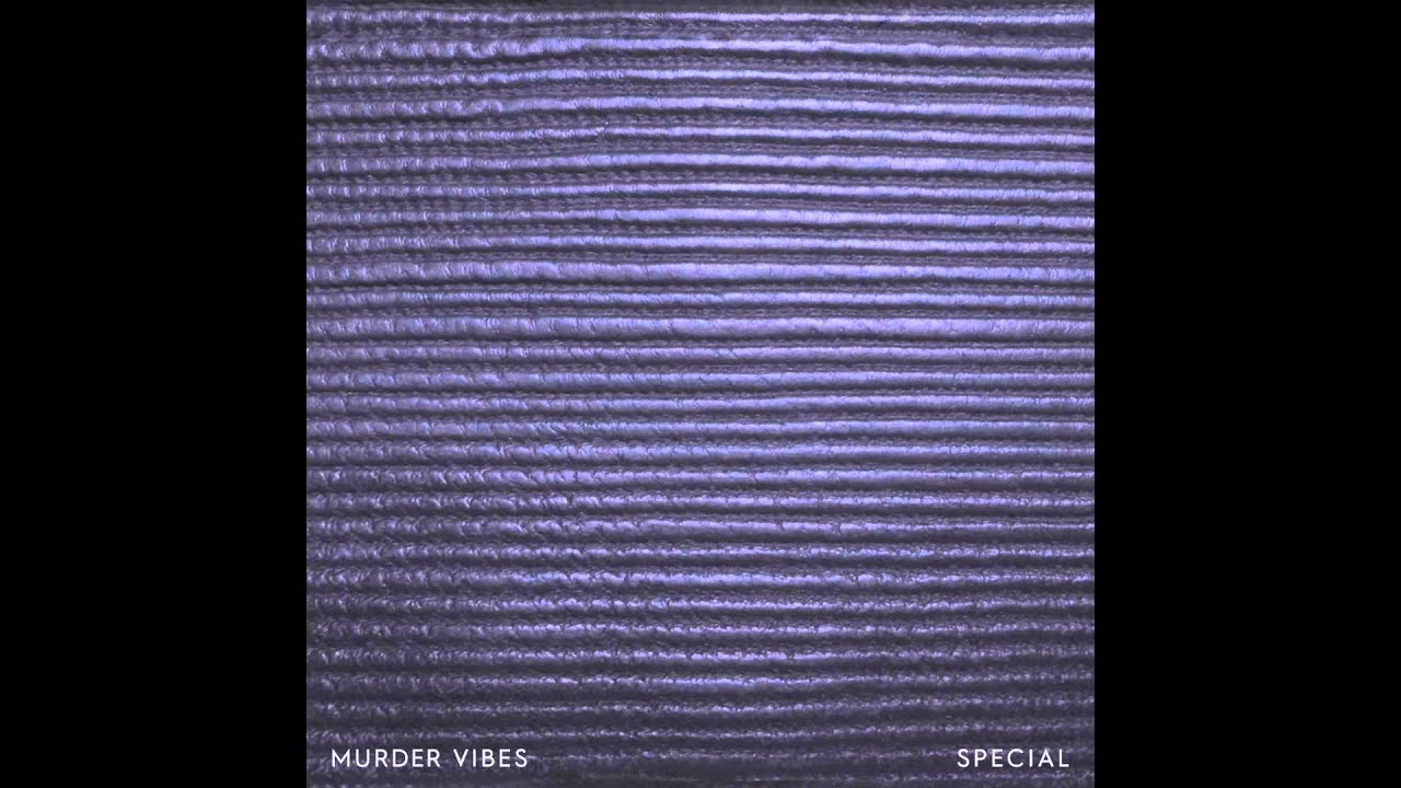 Murder Vibes - Special (Garbage Cover) - YouTube
