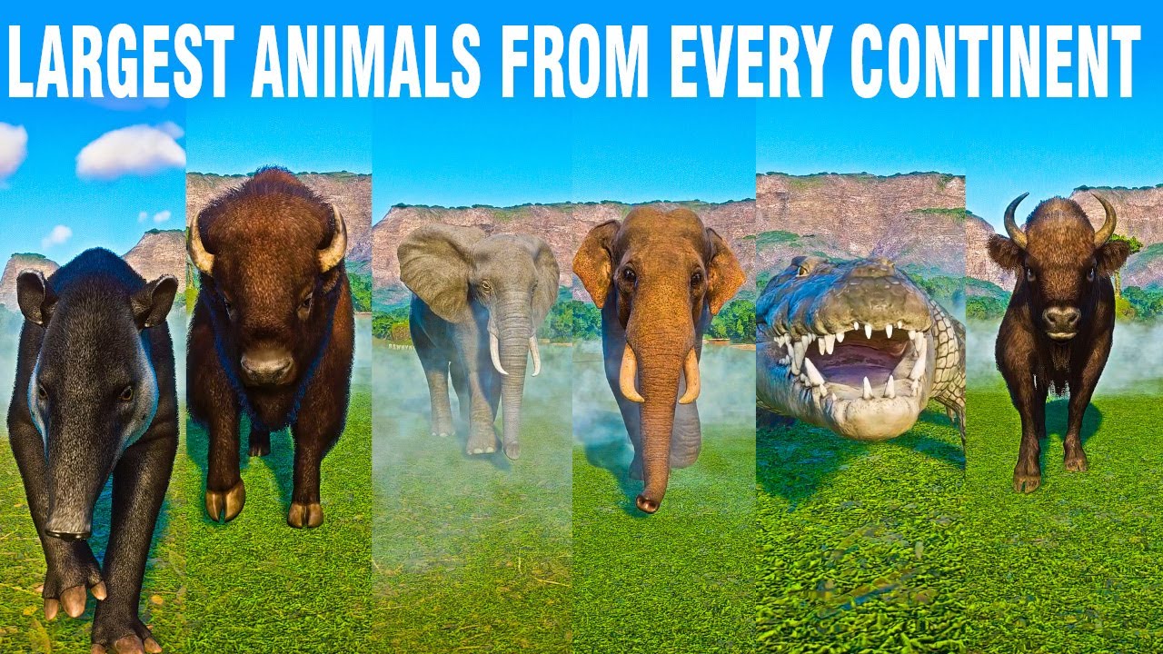 Largest Animals on Each Continent Speed Race in Planet Zoo included ...