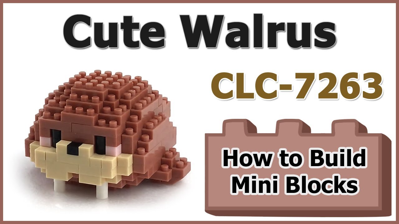 How to Build Mini Blocks Cute Walrus CLC-7263 Review Instructions ...