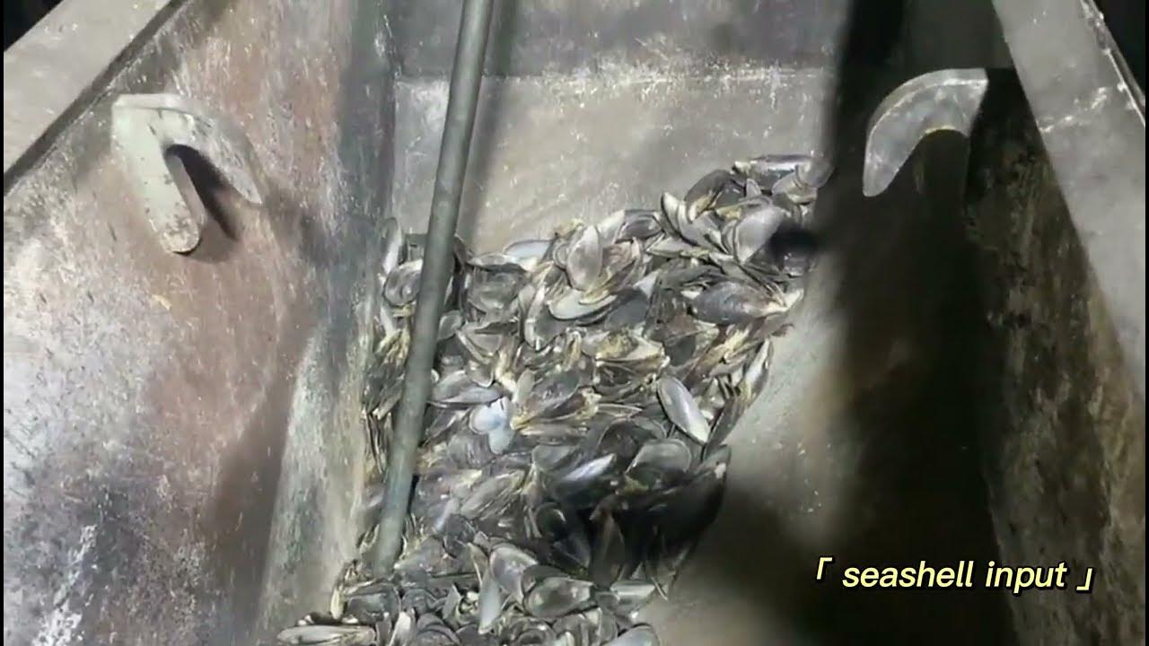 Seashell Powder Grinding Mill for 1000 Mesh Calcium Carbonate Processing - YouTube