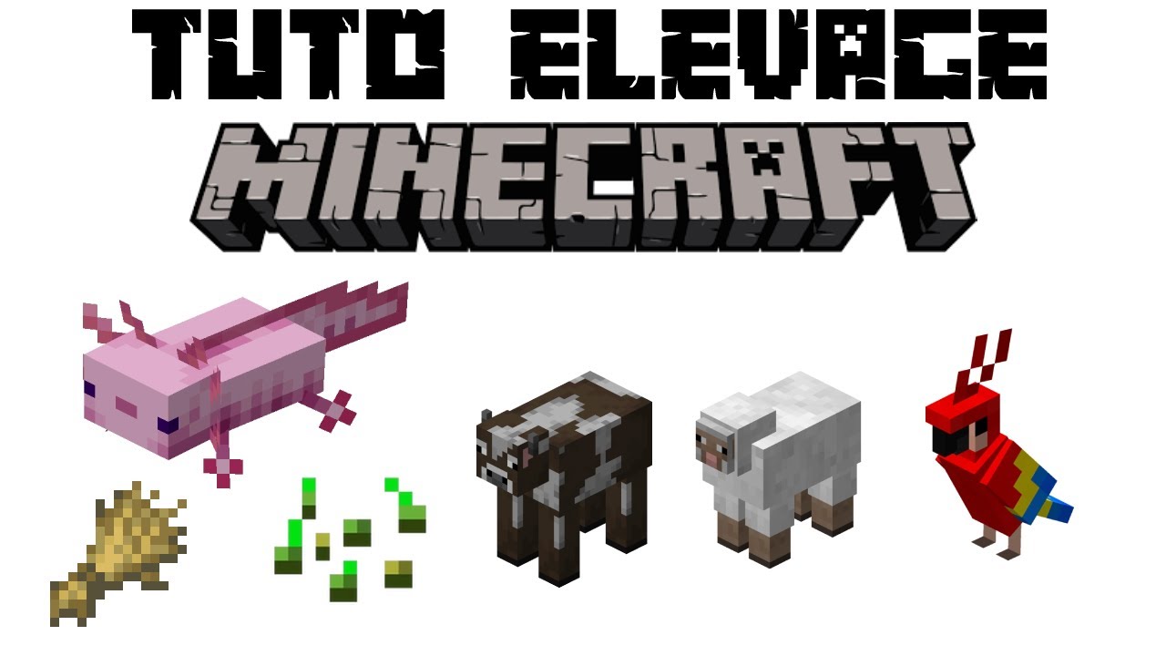 Tuto MINECRAFT 7: Elevage Minecraft, Mouton,Axolotl,Poule... - YouTube