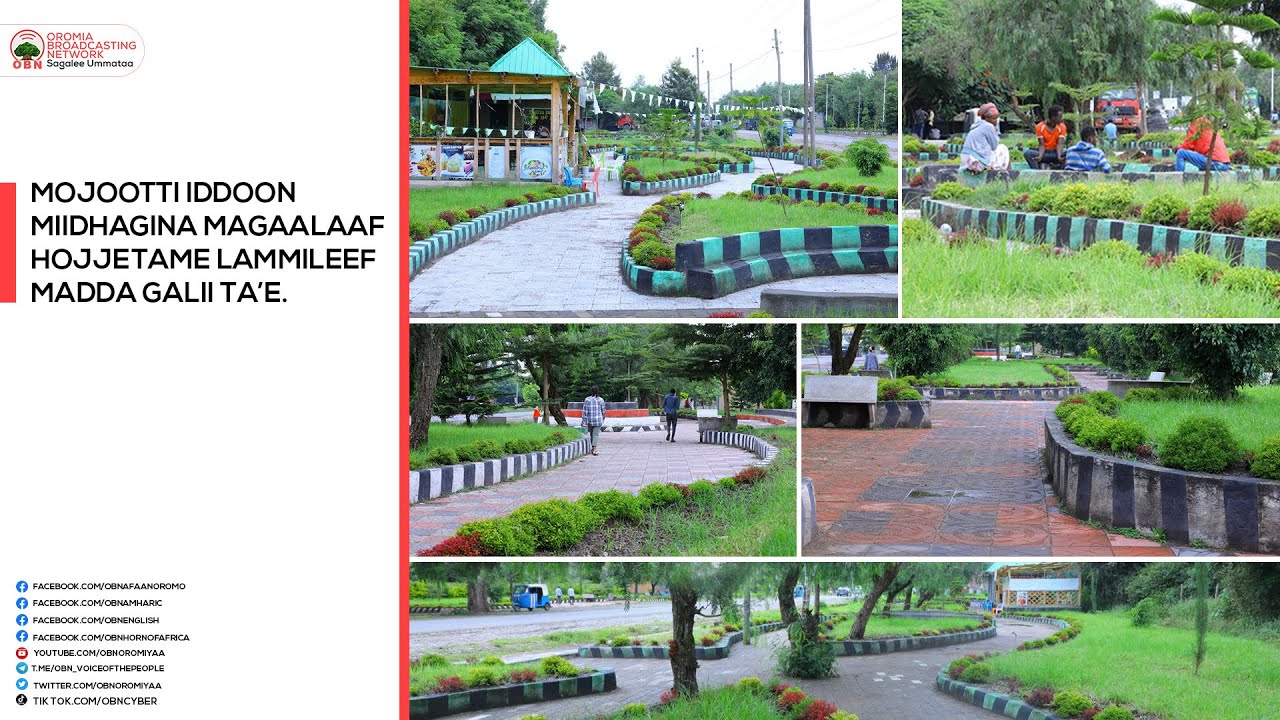 Mojootti iddoon miidhagina Magaalaaf hojjetame lammileef madda galii ta ...