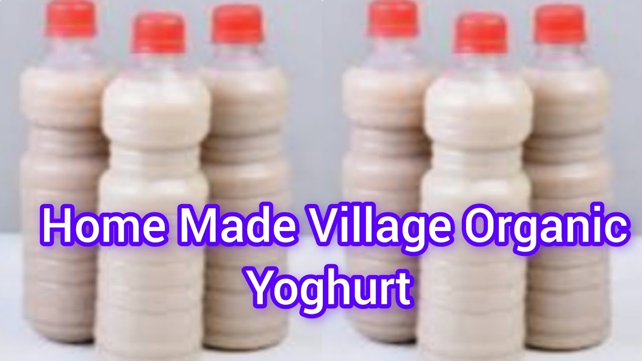 How to make Village Yoghurt/organic and Healthy 😋 | find my recipes