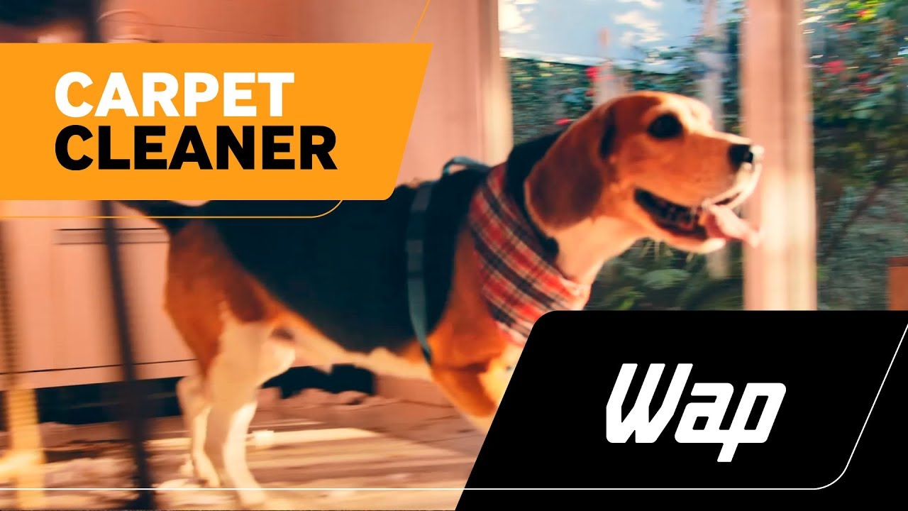 Extratora WAP Carpet Cleaner | Referência em limpeza difíceis - YouTube