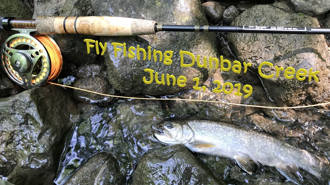 Fly Fishing Dunbar Creek - YouTube