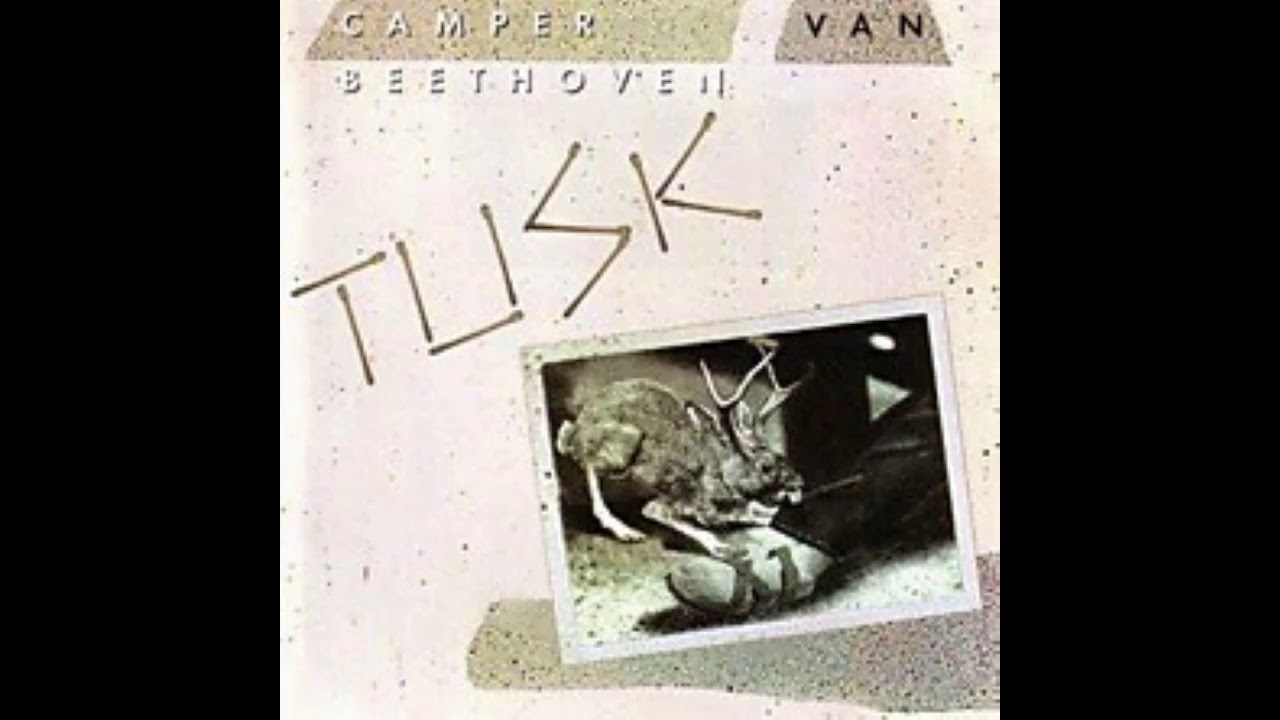 Tusk Fleetwood Mac cover - YouTube