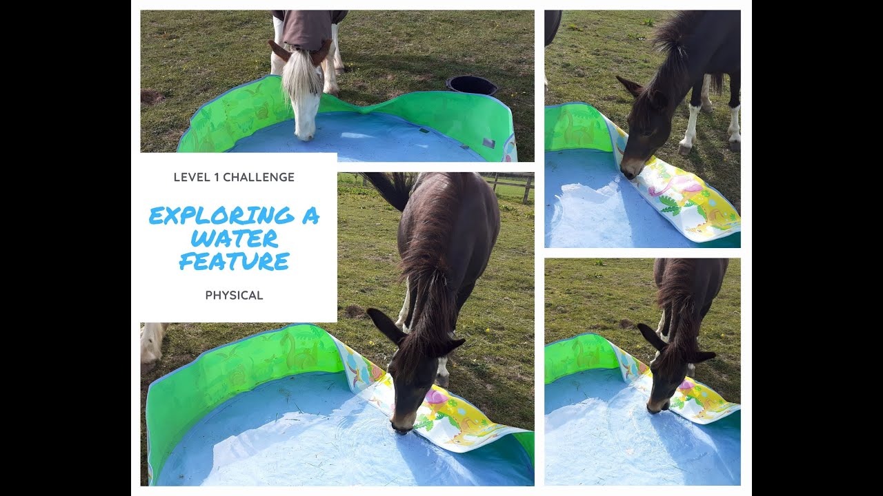 Enrichment: Physical: Exploring a paddle pool - YouTube