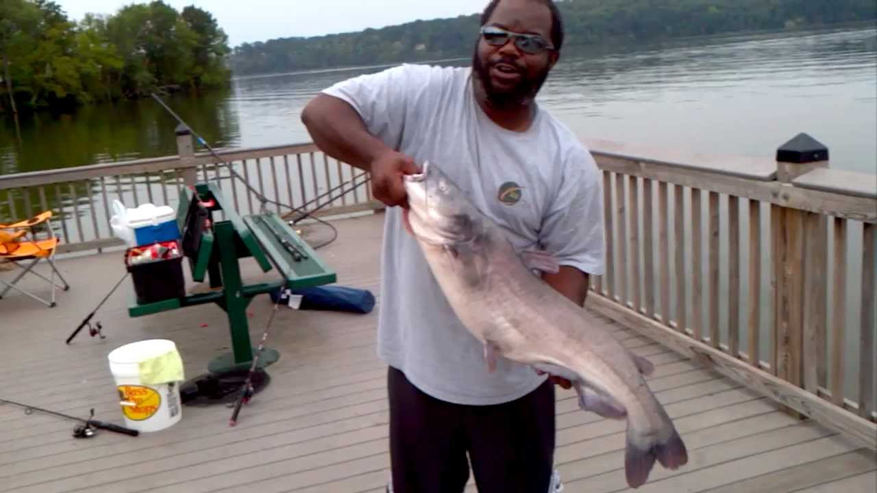 Debbie's Big Catch 20.5 lbs Catfish - YouTube