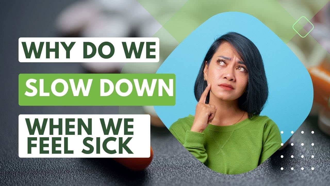 Why do we slow down when we are sick? The Science of Fatigue - YouTube