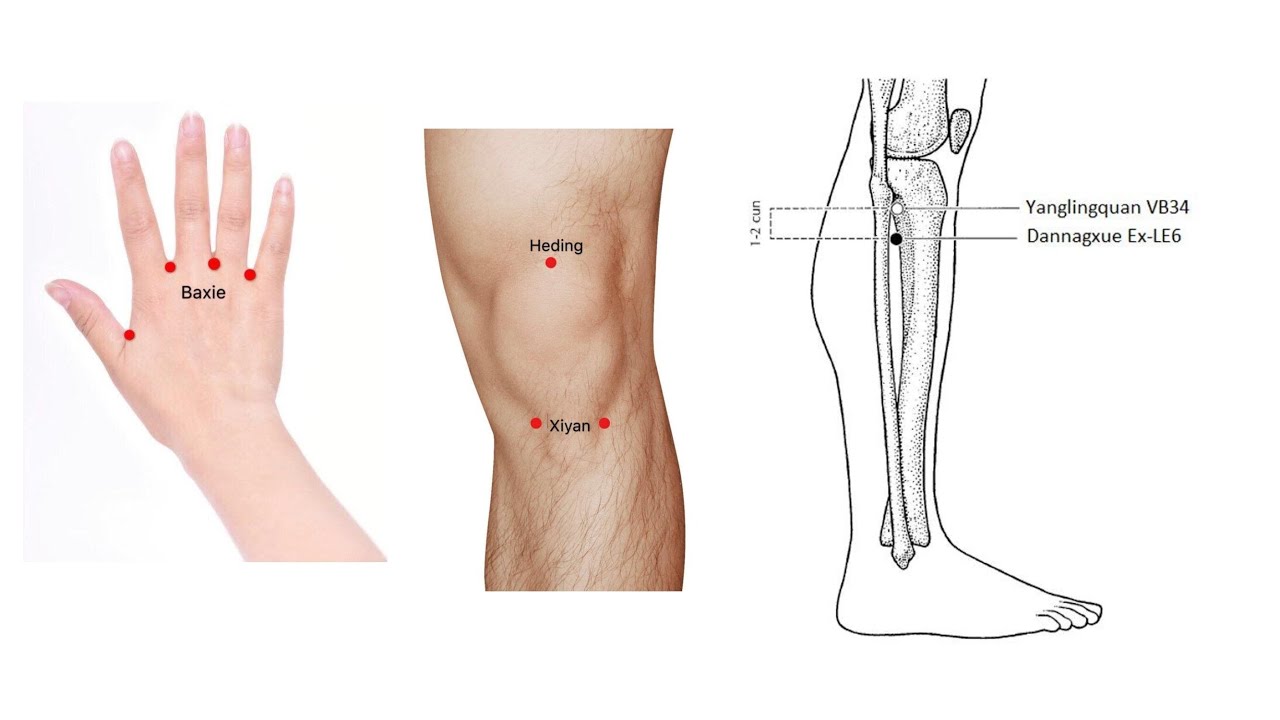 BAXIE, HEDING, XIYAN, DANNANGXUE, LANWEIXUE, BAFENG - YouTube