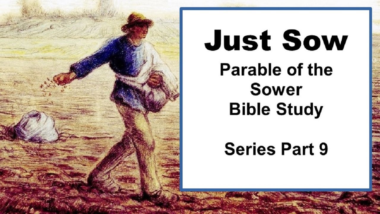 Just Sow – Parable of the Sower – Adult Bible Study Part 9 - YouTube