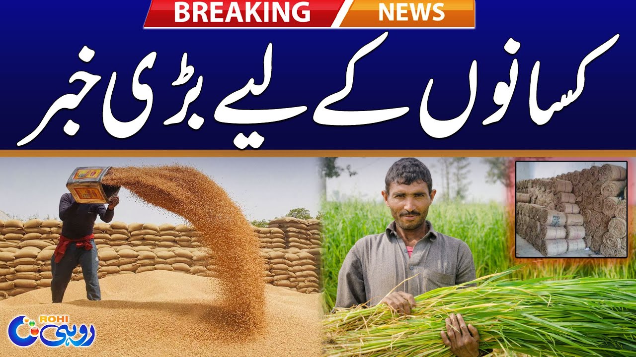 Breaking News l Big News For Farmers l Rohi - YouTube