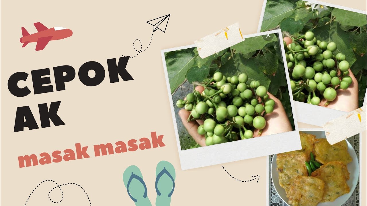 SUBUH SUBUH PETIK CEPOKAK//BAYAM//LANJUT MASAK//GORENG TEMPE TEPUNG ...