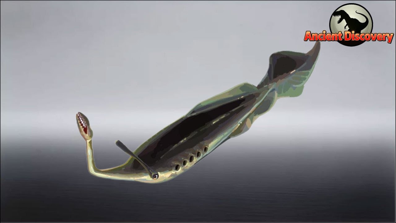 Tully Monster: The Most Mysterious Ancient Monster | Evolution Story ...