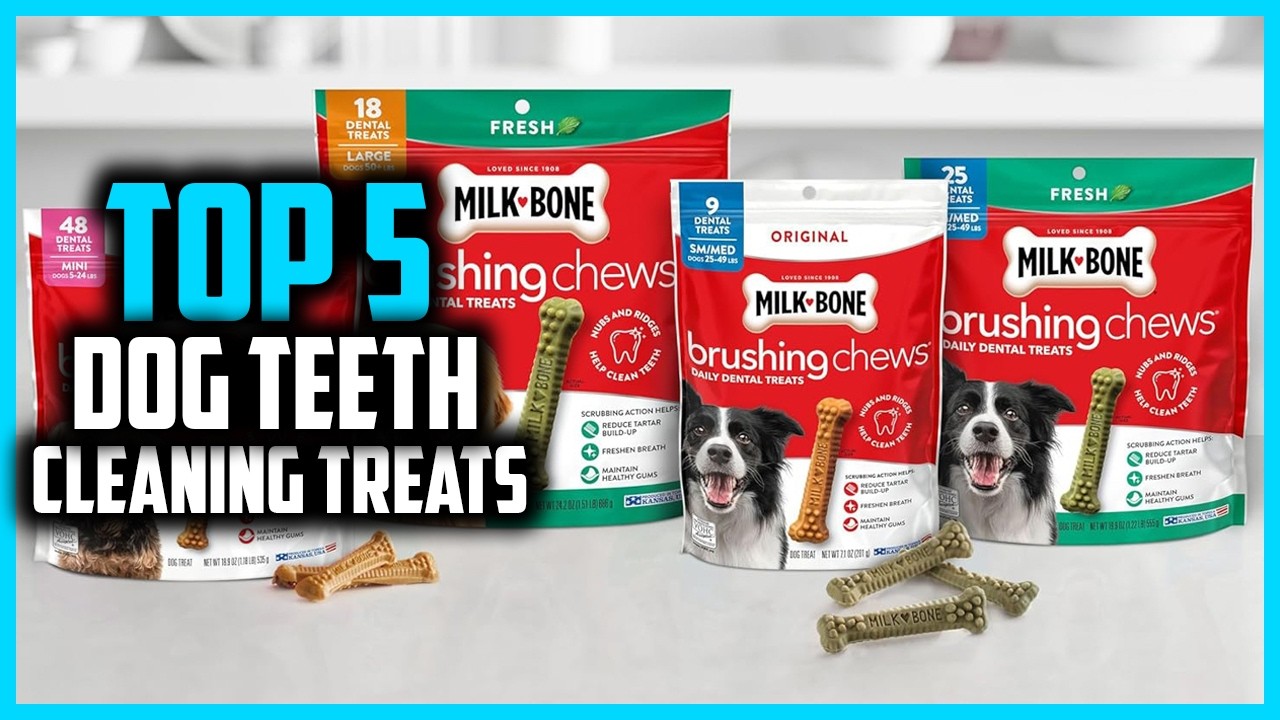 Top 5 Best Dog Teeth Cleaning Treats (Actually Work in 2026) - YouTube