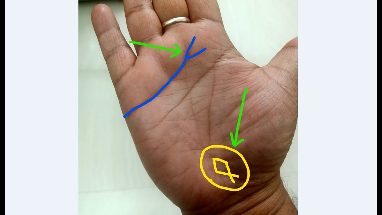 Two Lucky Symbols on hand, Vishnu Symbol and Fish Sign - Rajiv The ...