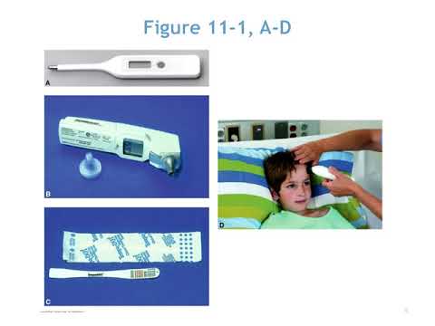 Wilkins Chapter 11 Vital Signs - YouTube
