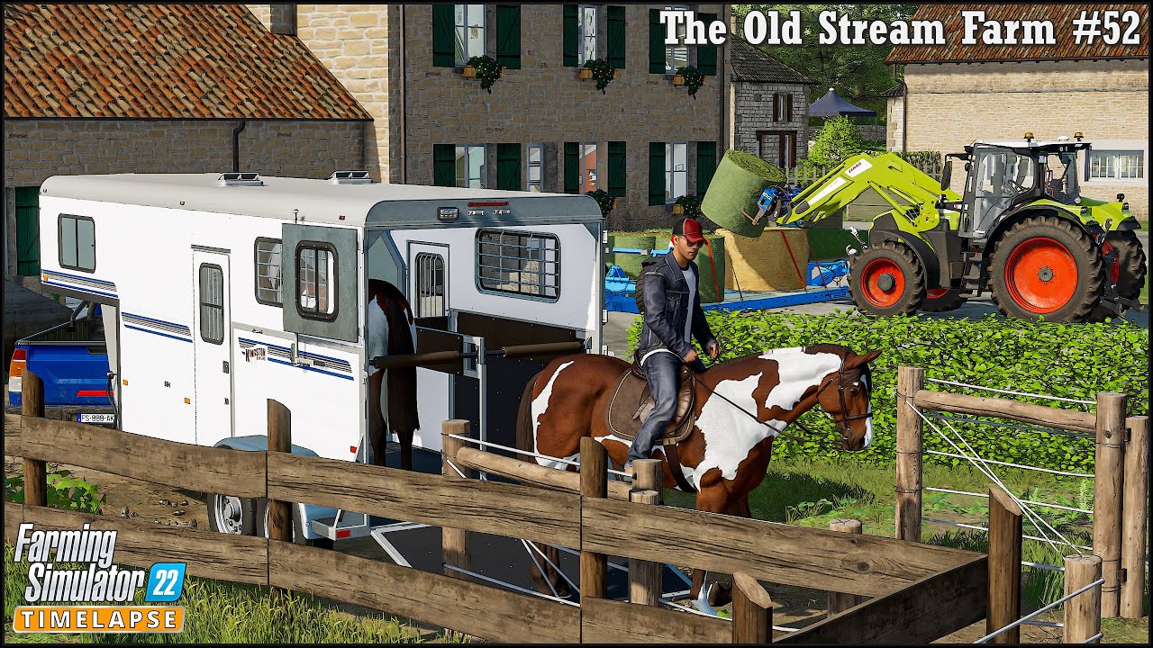 Buying & Feeding Horses. Taking Care of Grape Vines🔹#TheOldStreamFarm ...