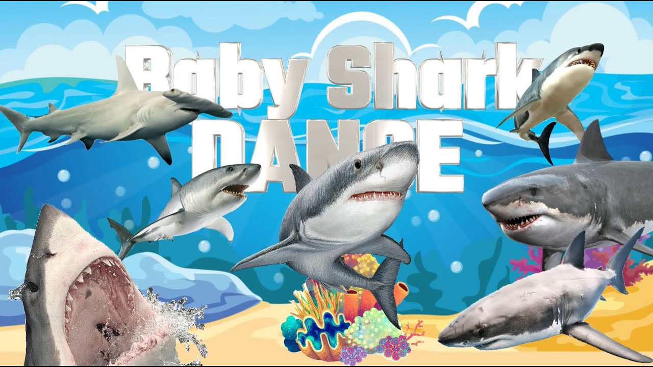 Baby Shark dance Cute & Funny Sharks Animals for Kids Sounds - Learning ...