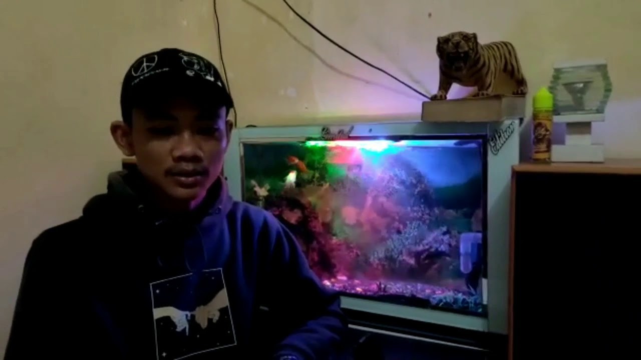 (STEPS TO USE AQUARIUM GLASS CLEANER) - YouTube