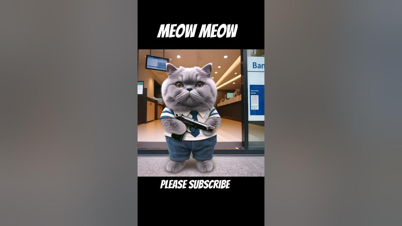 Meow meows meme - YouTube