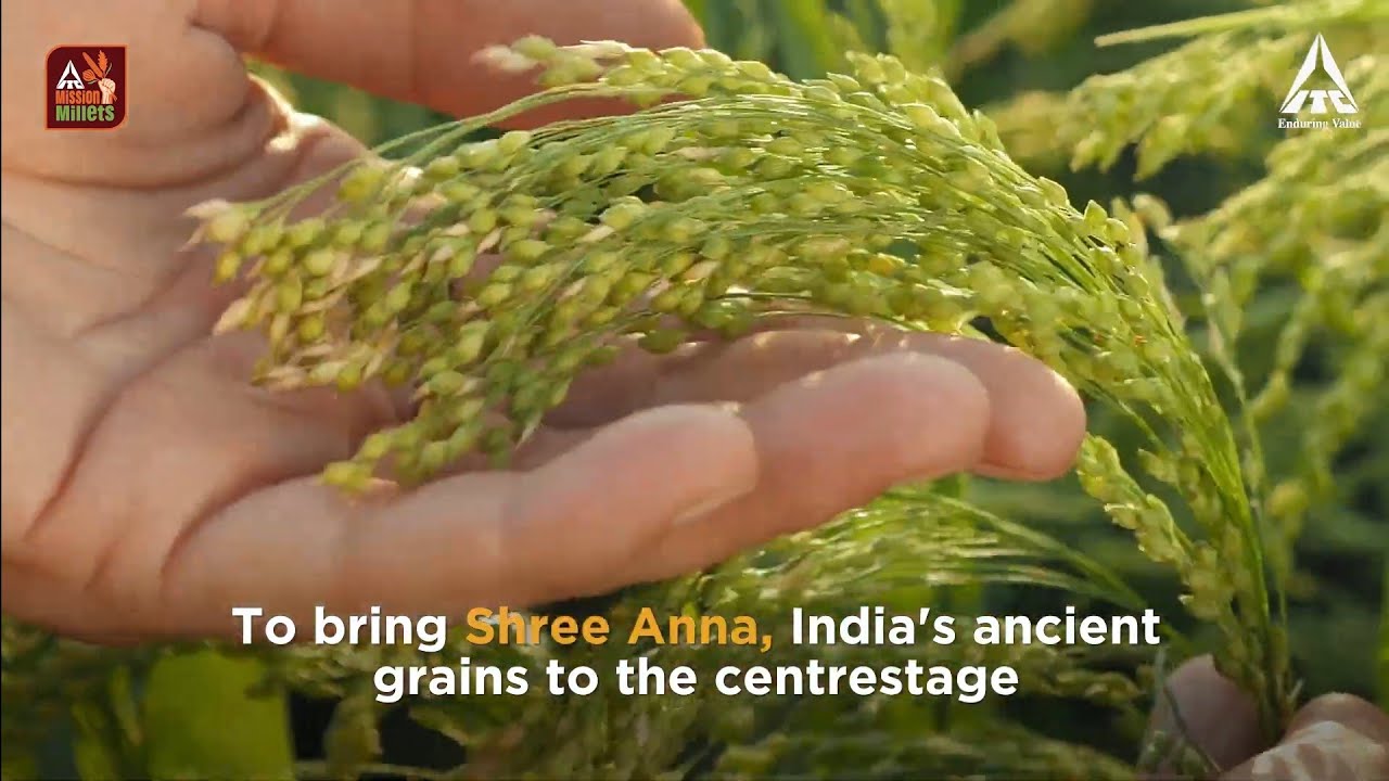 ITC Mission Millets: Towards a nutritious & sustainable future | ITC ...