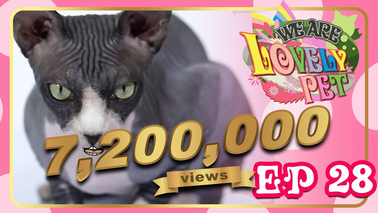 We Are Lovely Pet - "ไม่ต้องแดกแล้วววว" [Ep.28] 18+ l VRZO - YouTube
