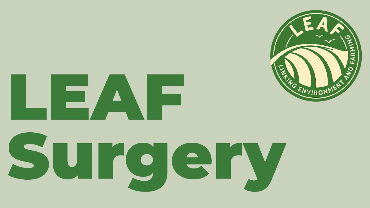 LEAF Surgery S1.E1 | LEAF Update - YouTube