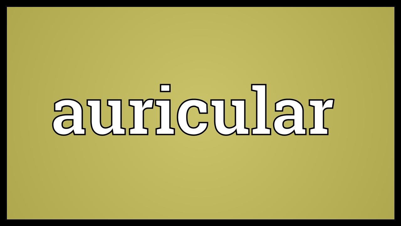 Auricular Meaning - YouTube