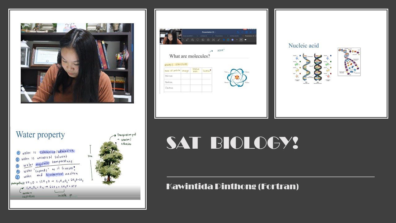SAT biology revision chapter 1 cell biology: molecules in the cell ...