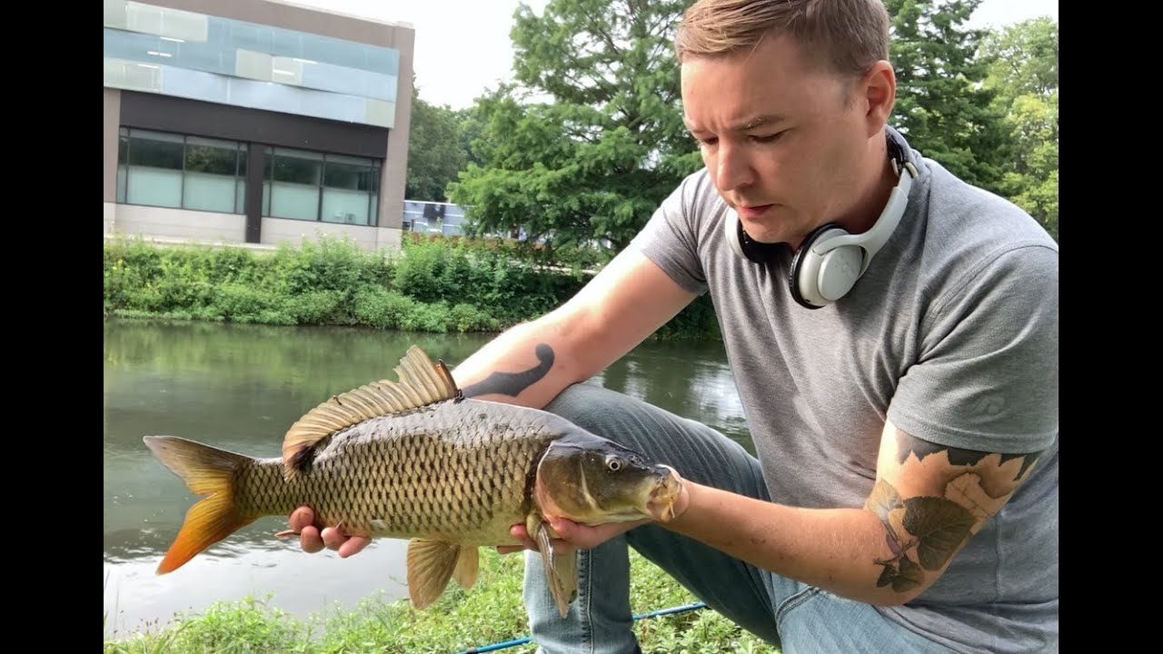 How to Clean a Carp! - YouTube